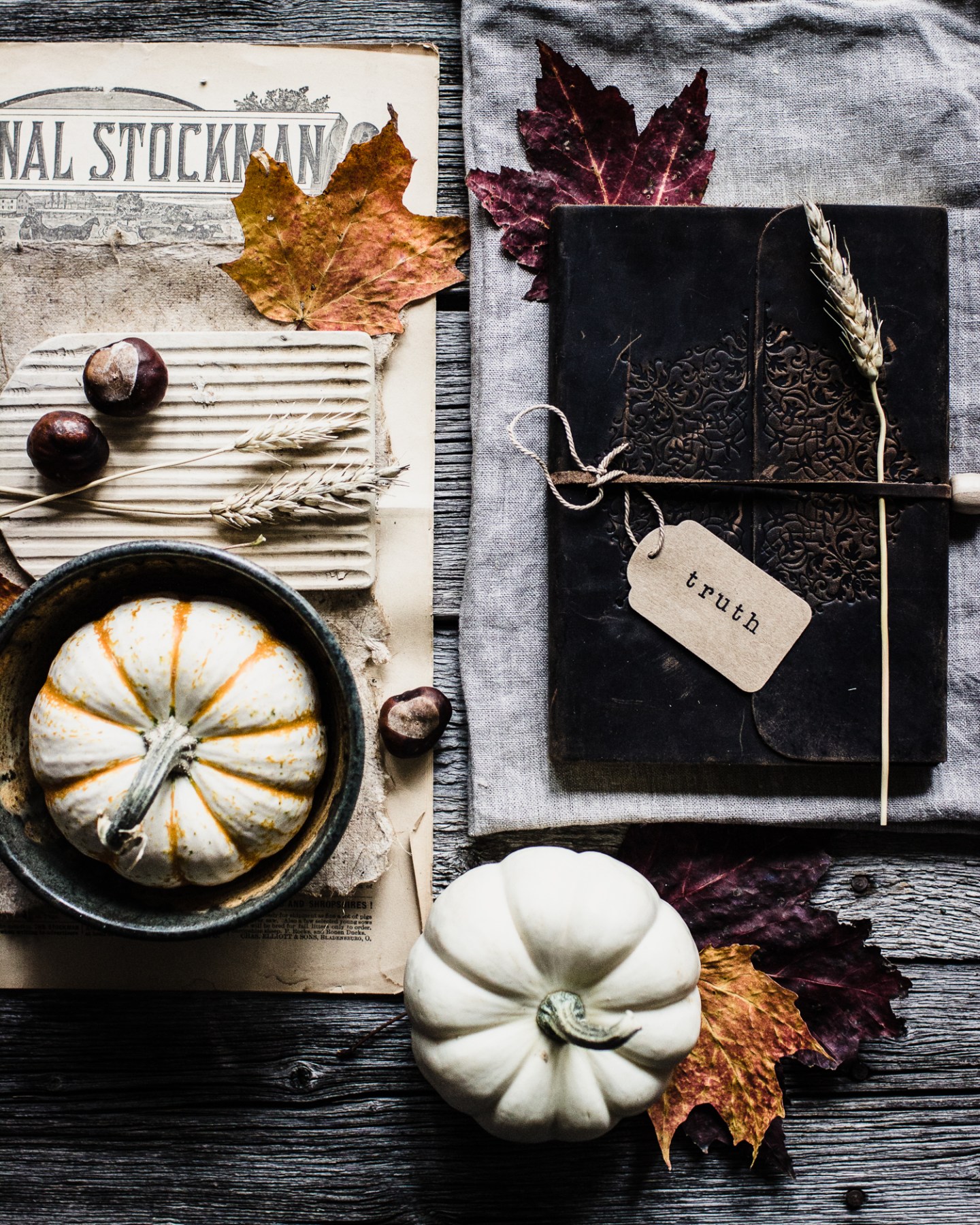 Goodbye Fall, Hello Winter – Kathy Pardell